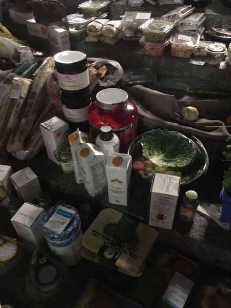 freegan.info – strategies for sustainable living beyond capitalism