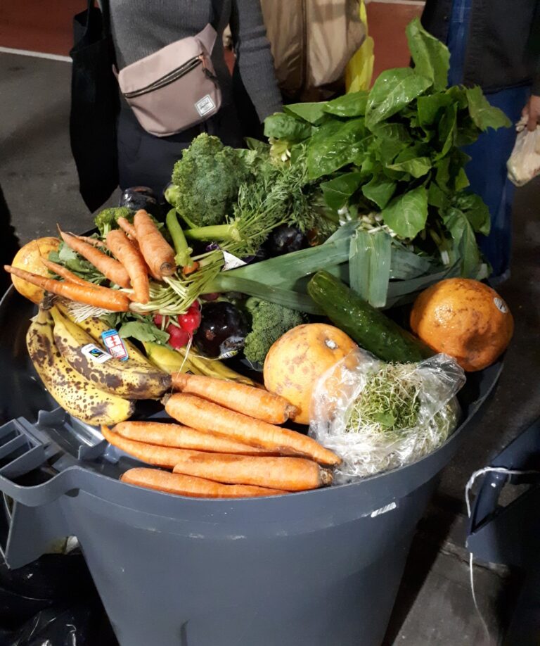 freegan.info – strategies for sustainable living beyond capitalism